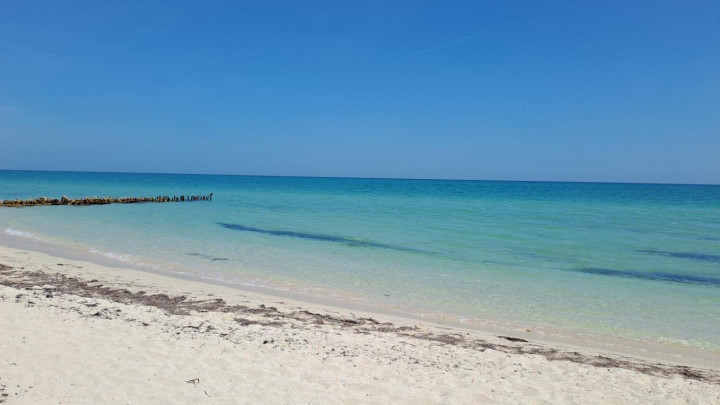 The Suite. Few Steps & Beach! - Yucatan