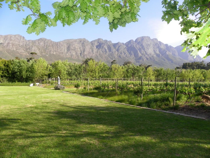 Franschhoek Rose Cottages - Franschhoek