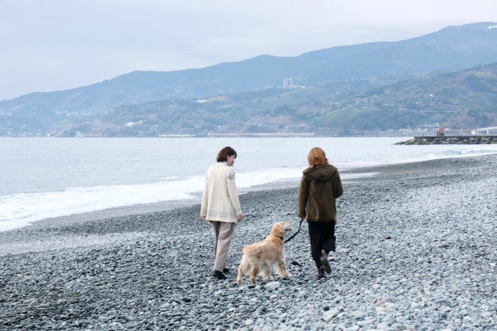 いぬと海辺 - Odawara
