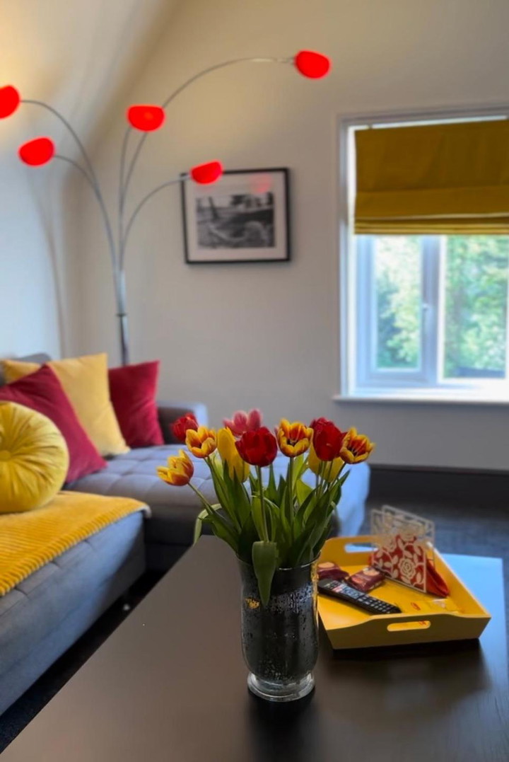 Green Corner Villa - Walls Hill - Cosy Luxury Apartment In Central Torquay With Free Parking & Ev - Torquay