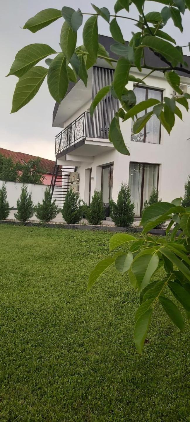 Accent Garden - Simeria