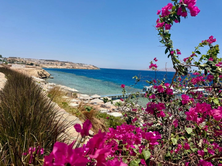 Red Sea Oasis Luxury Apartment - Sharm-el-Sheikh