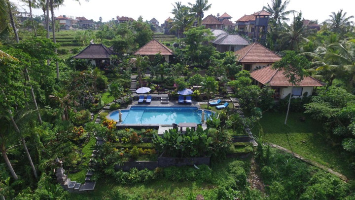 Villa Capung Mas Ubud - Ubud