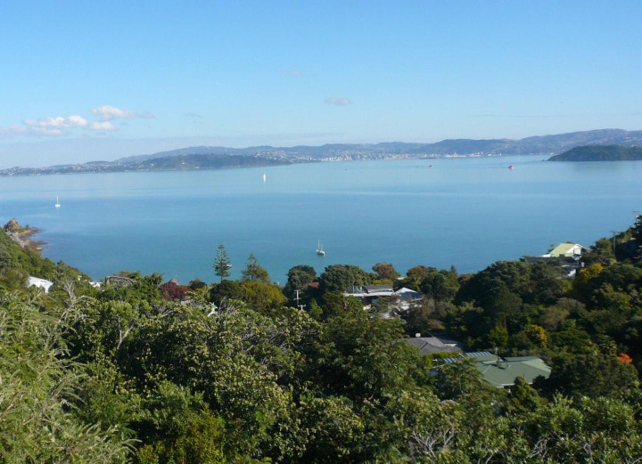 Breakaway At York Bay - Wellington