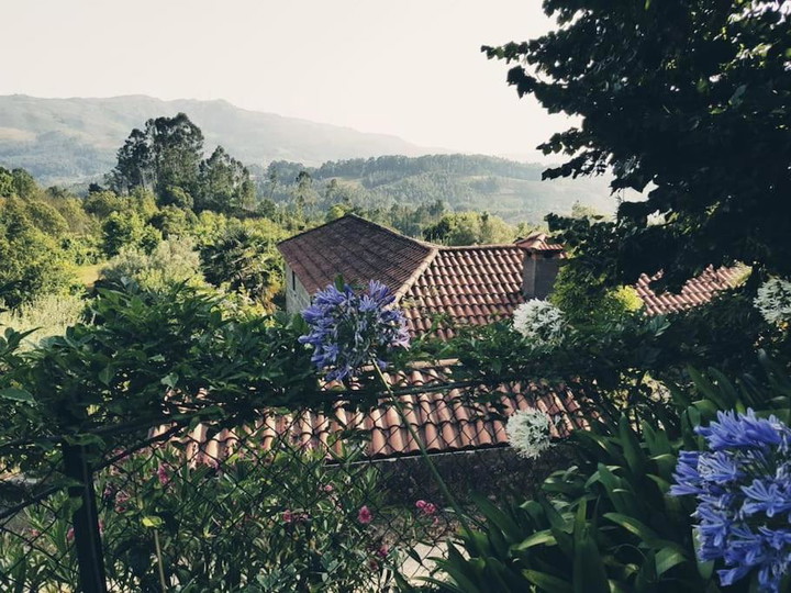 Country House - Hippie Garden - Vieira do Minho