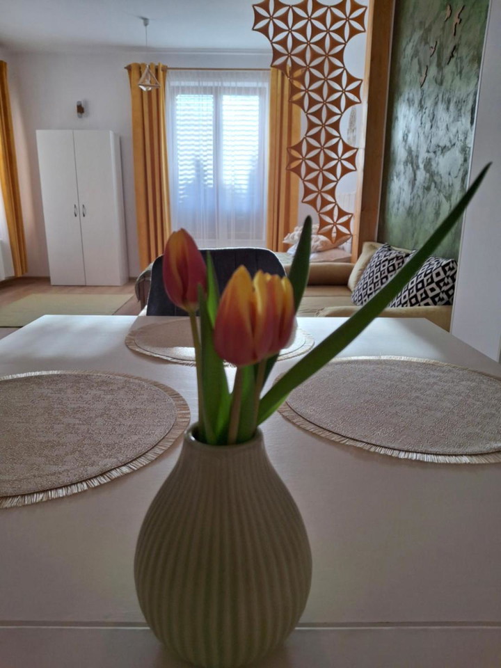 Pensiunea Casa Dorneană - Dorna Candrenilor