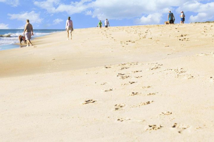 Hyatt Place Dewey Beach - Dewey Beach, DE