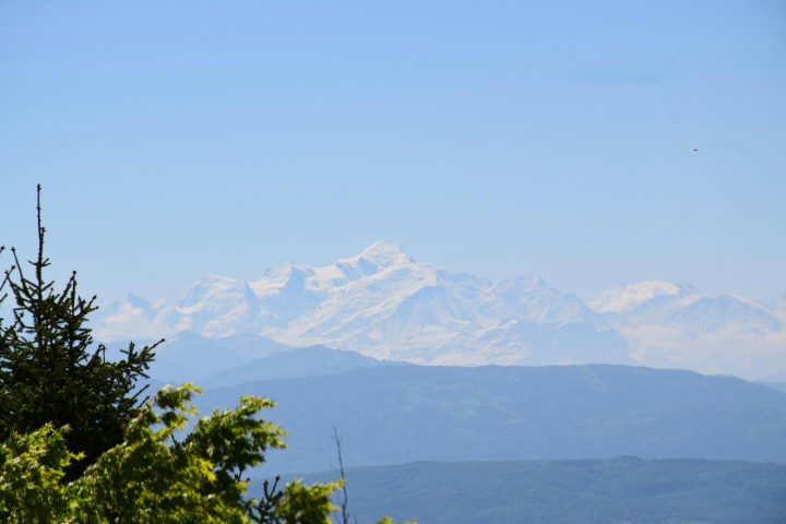 Chalet Calin - Business & Familles - Yvoire
