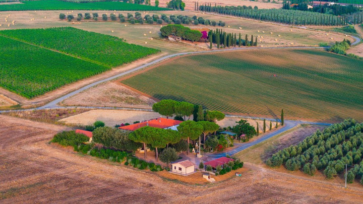 Agriturismo I Debbi - Bibbona