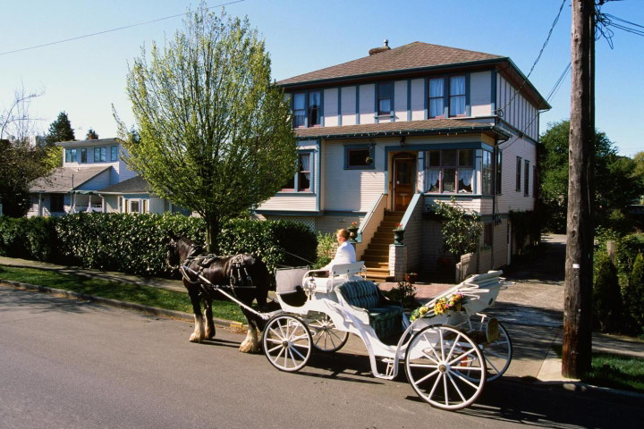 Marketa's Bed And Breakfast - Victoria