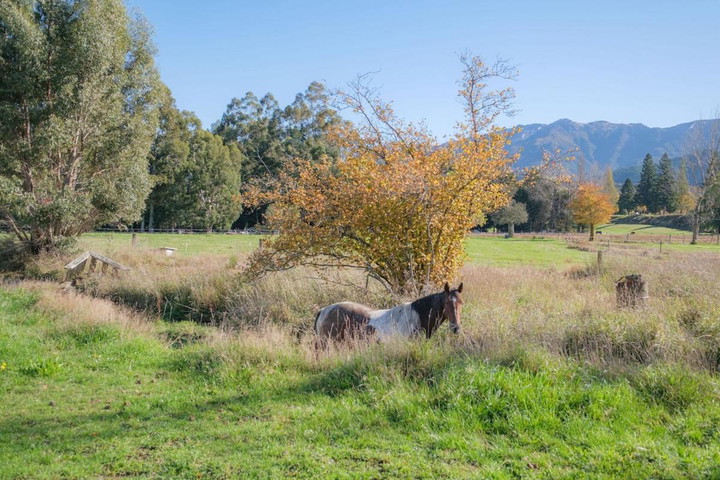 House Horse & Hound On Argelins - Hanmer Springs