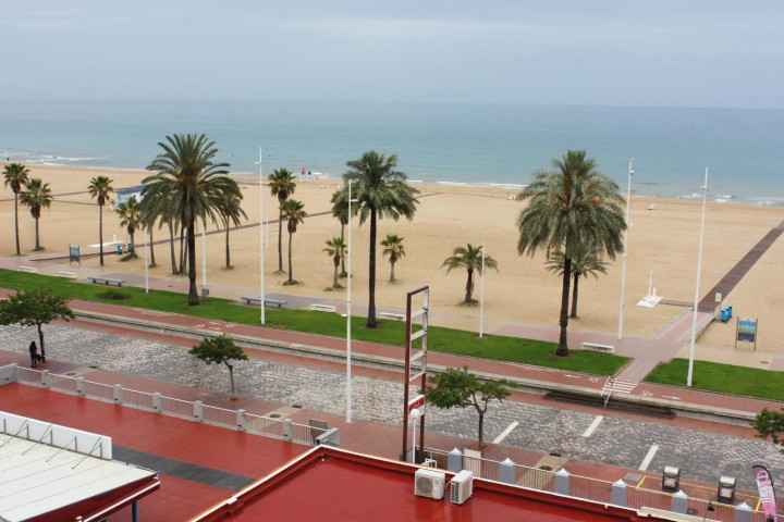 Don Ximo Solo Familia Serviplaya - Gandía