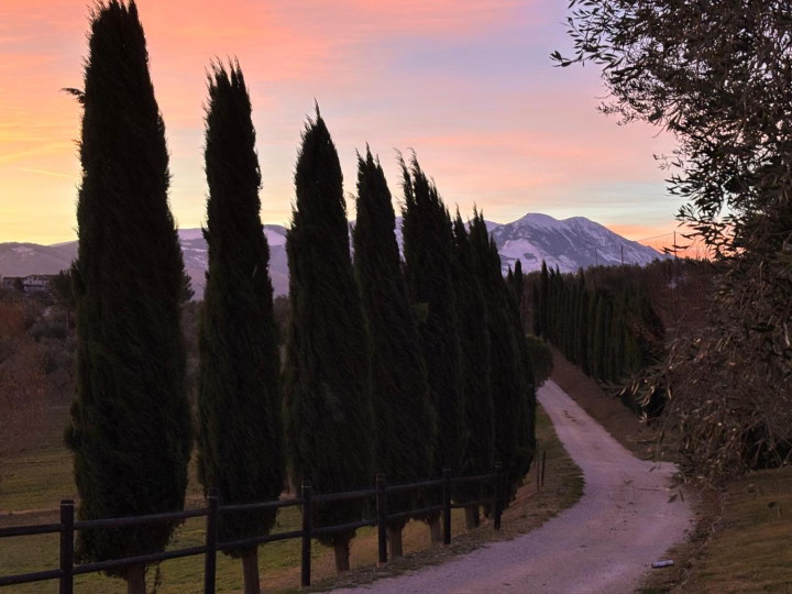 Agriturismo La Masseria - La Casa Tra Gli Alberi - Abruzzo