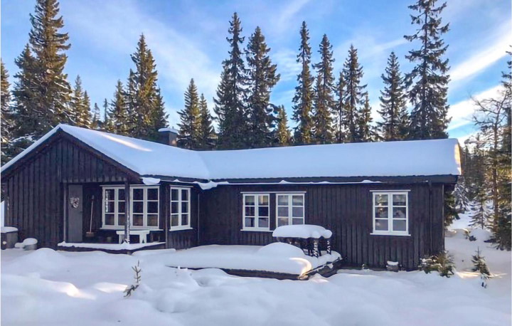 Nice Home In Sjusjøen With Wifi - Norveç
