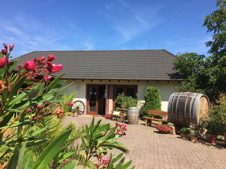 Weingut Hans Bausch - Oestrich-Winkel