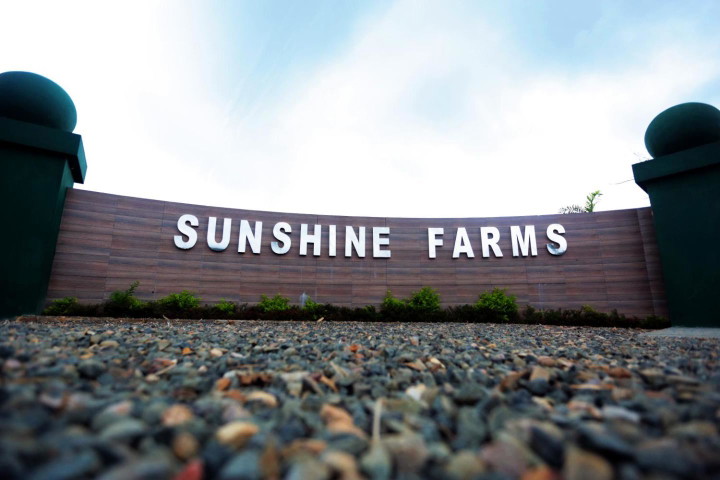 Sunshine Farms And Resort - Meghalaya