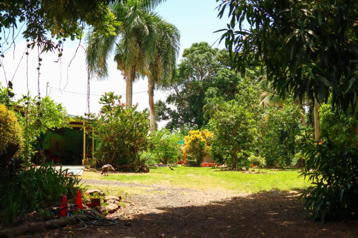 La Casa De Vida Natural - Puerto Rico