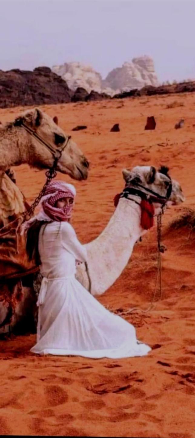 Wadi Rum Sand Moon Camp &Tour - Jordanie