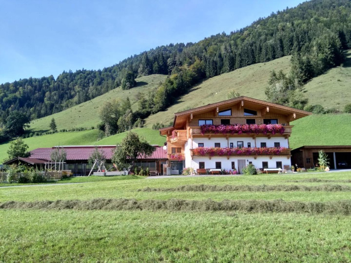 Bio- Bauernhof Obermaurach - Walchsee
