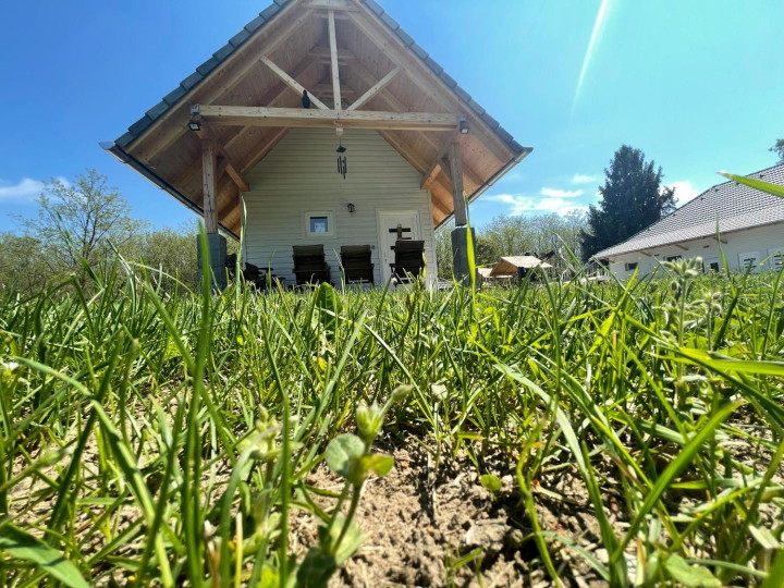 Wild Garden1 Apartman - Balatonfenyves