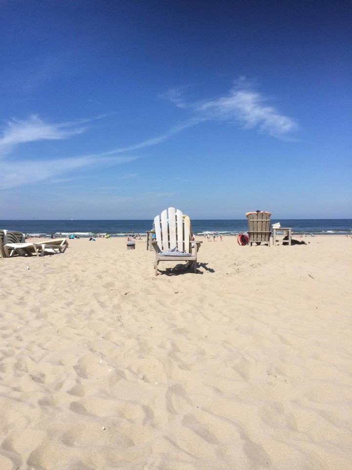 Sea & Dunes - Den Haag
