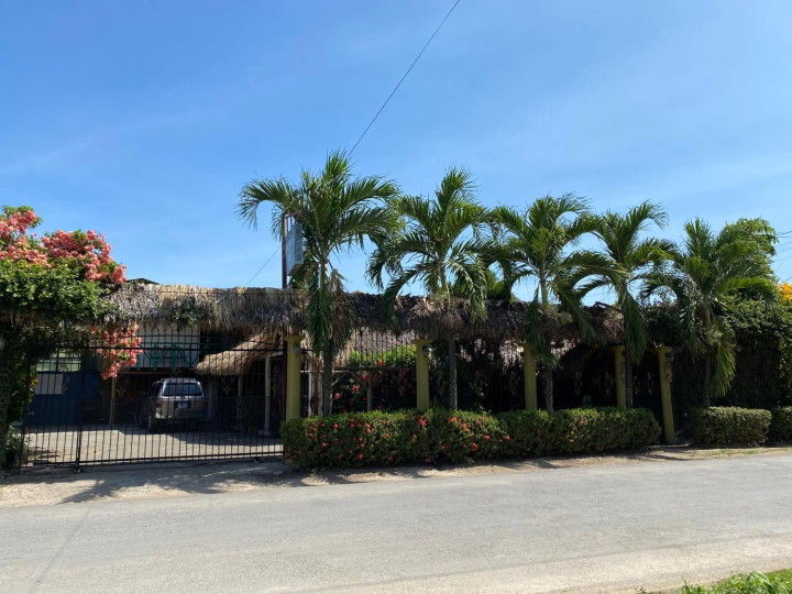 Mauras Tropical Mini Hostel & Tours - Costa Rica