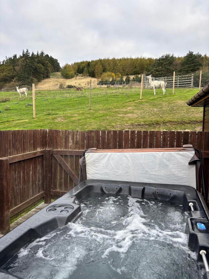 Woodpecker Lodge With Hot Tub - Dundee