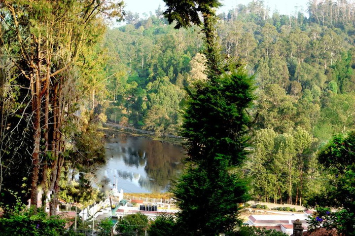 Maruti Villa - Kodaikanal