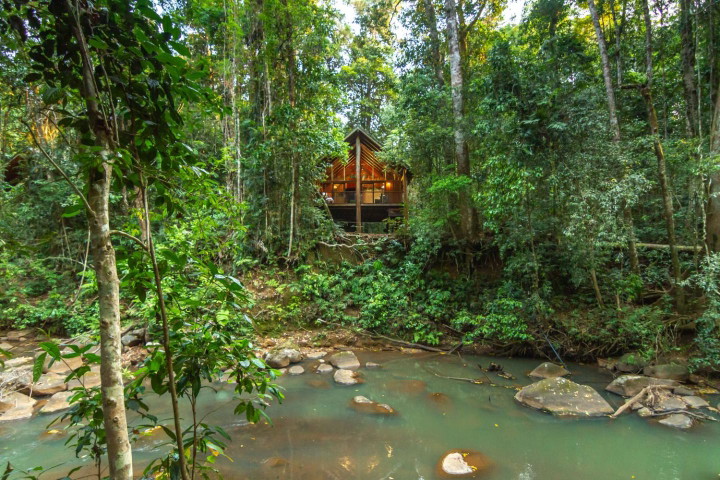 The Canopy Rainforest Treehouses & Wildlife Sanctuary - Atherton