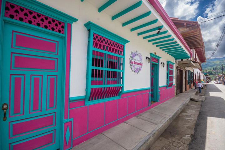 Casa Hotel Las Hortensias - Andes
