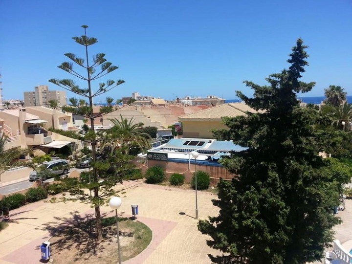 Estudio En Torrevieja A 700 M Del Mar - Torrevieja