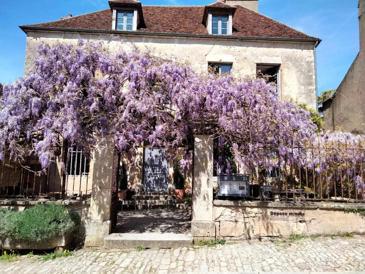 Les Glycines Vézelay - Vézelay