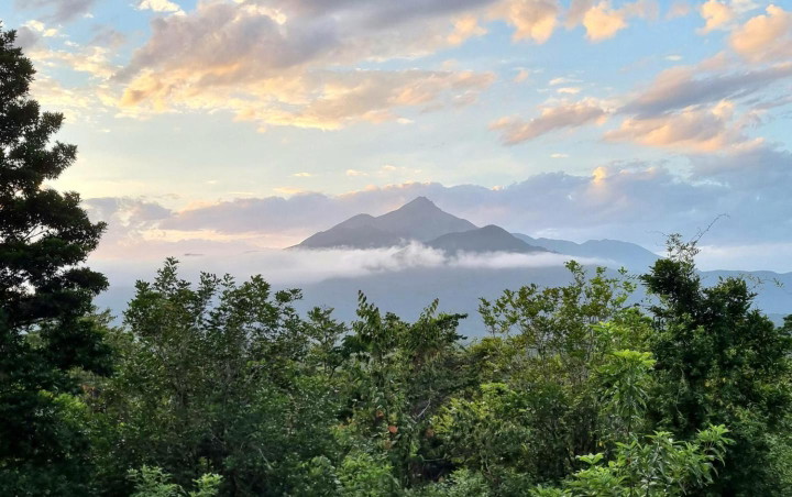 Wompoo Eco Retreat - Daintree