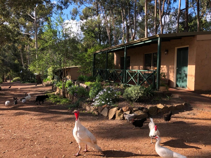 Country Cottages Of Bridgetown - Bridgetown