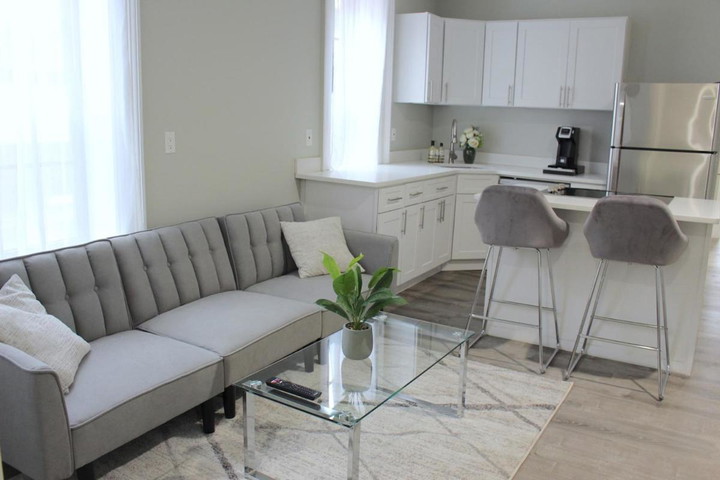 Wow Bright Apt Prime Downtown Walk Everywhere - Albany, NY