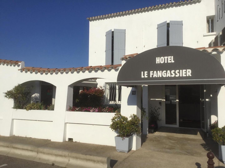 Le Fangassier - Arles