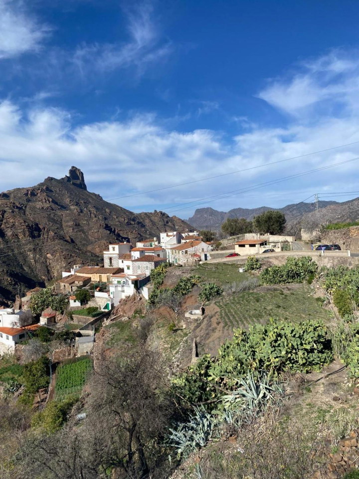 Nature In Tejeda - Tejeda