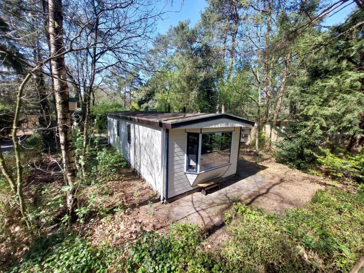 Chalet In Hattemerbroek 'Boshuisje Dennenrust' - Epe