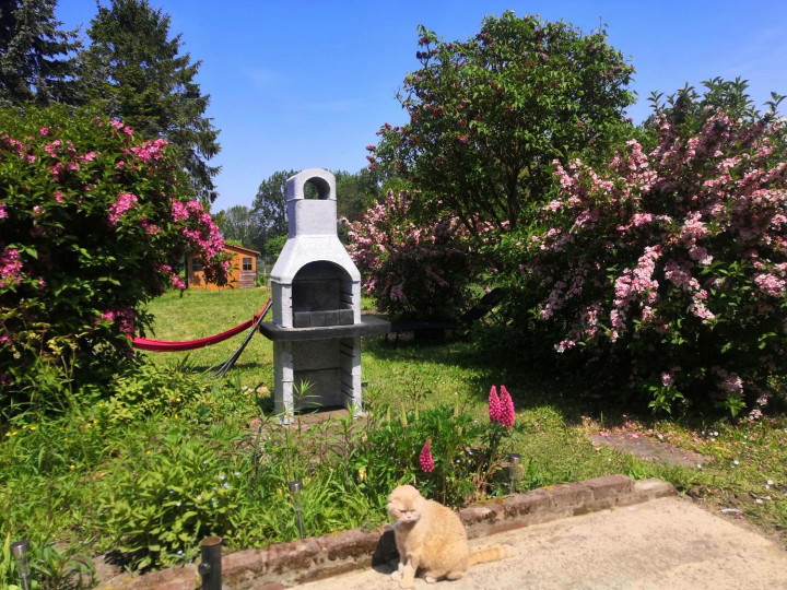 Le Nid D'hirondelle - Cayeux-sur-Mer