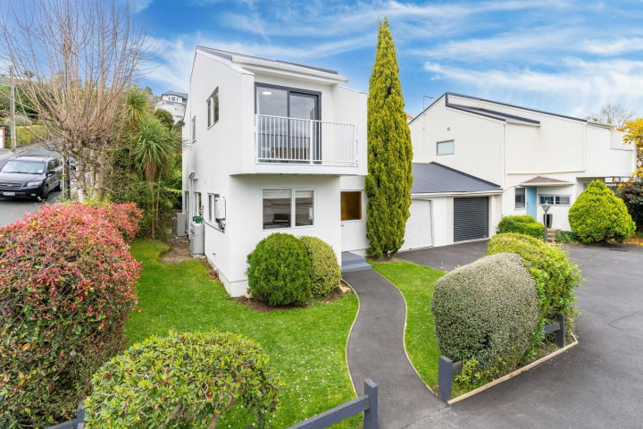 Contemporary In Roslyn - Dunedin