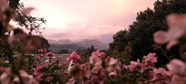 Never Daunted - Hogsback