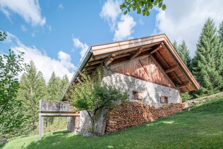 Chalet El Deroch - Bellamonte - Italy