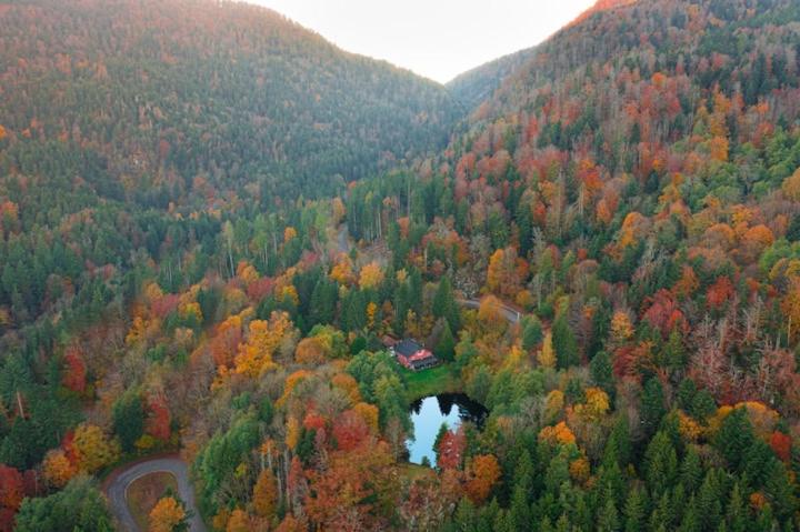 Accomodatie In Villa Werschmatt - Ballon d'Alsace