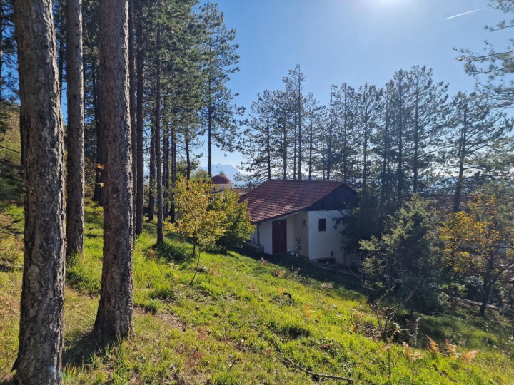 Bujtinat Skenderi Gjinar - Albania