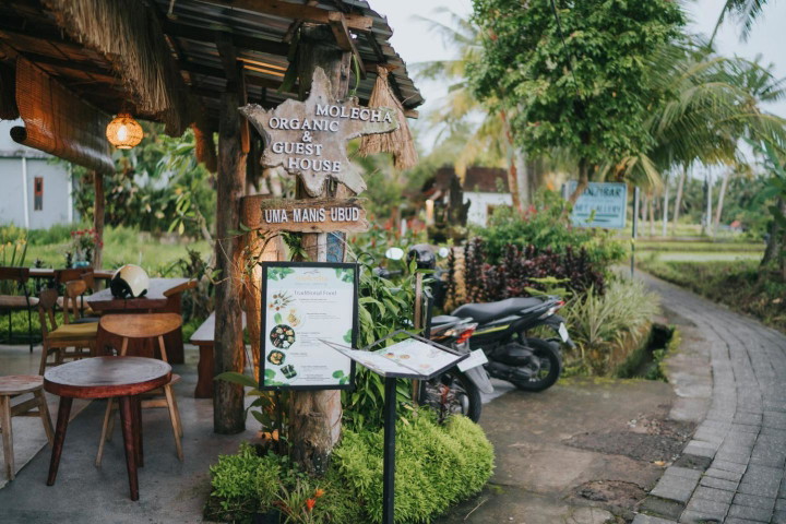 Sawah Manis Guest House - Bali