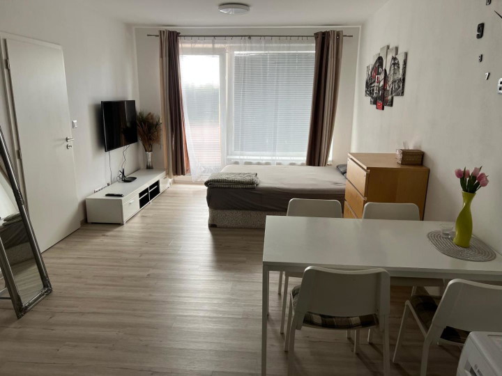 Beautiful 2 Bedroom Apartment - Czech Republic