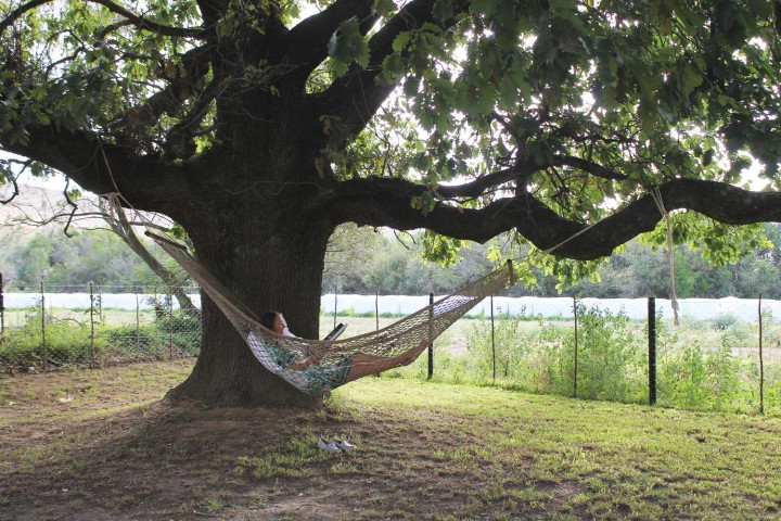 Lismore Guest Farm - Barrydale