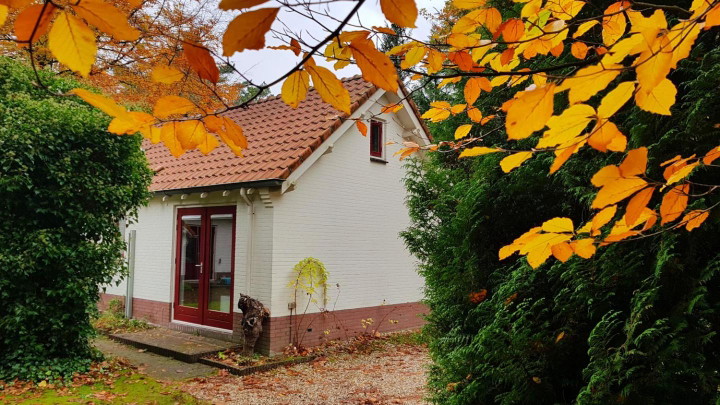 Dennenhuis - Epe