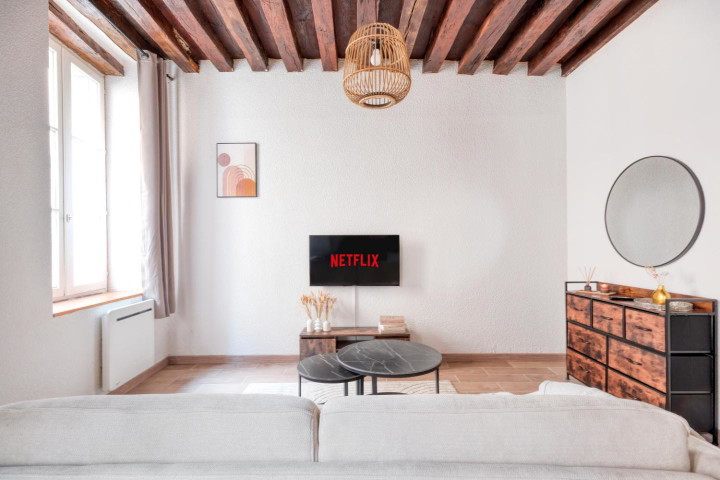 L'authentique Orléanais-centre-netflix-wifi - Olivet
