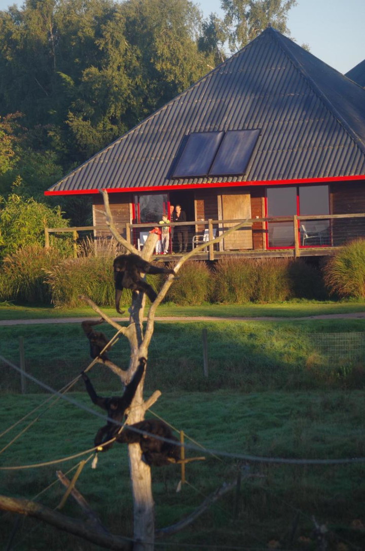 Cerza Safari Lodge - Normandía